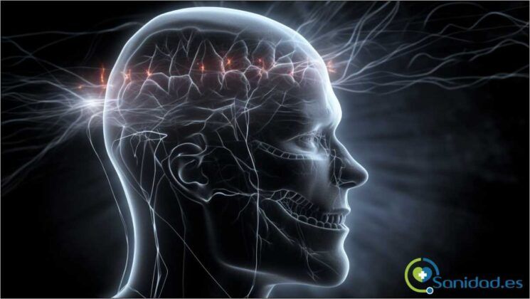 Primeros Auxilios para Convulsiones: cómo actuar ante una epilepsia